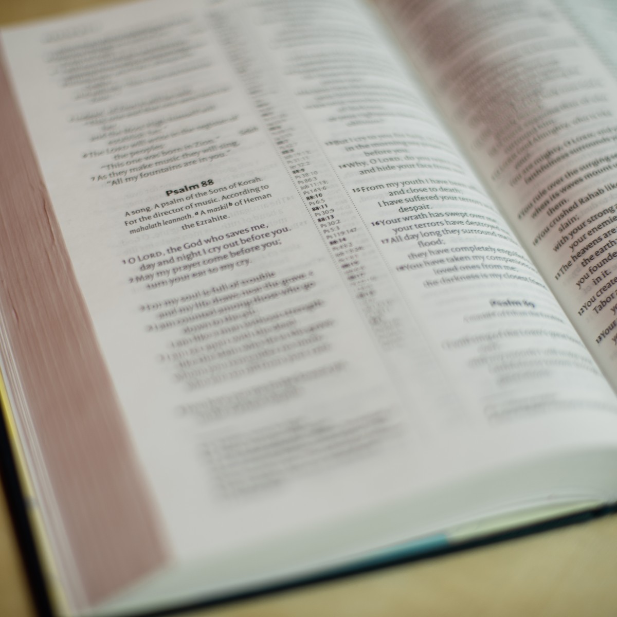 The gift of lament - Blog - UCCF: The Christian Unions