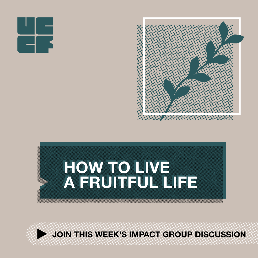 The One Who Said I Am #7: How to live a fruitful life (John 15:1-14 ...